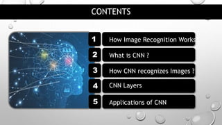 Convolutional Neural Network | PPTX
