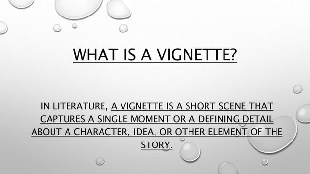 Vignette Presentation.pptx