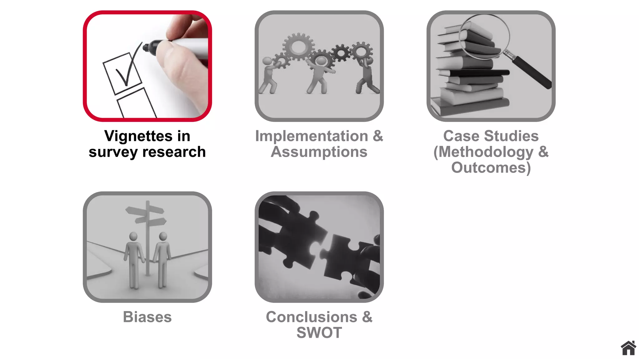 Vignettes in Survey Research | PDF