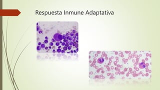 VIH/ DEFINICION- SINTOMAS - TRATAMIENTO- | PPTX