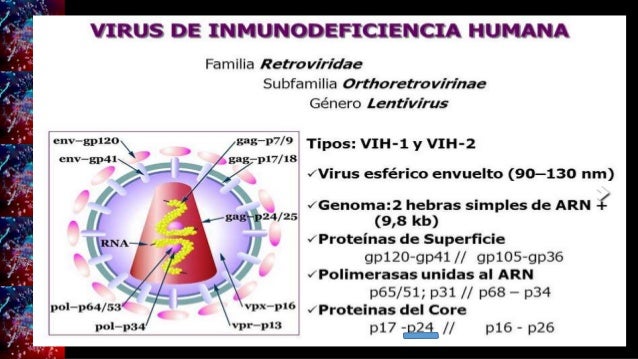 VIH MICROBIOLOGIA