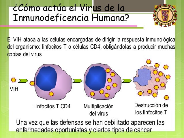 HIV- SIDA