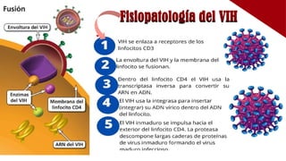 VIRUS DE INMUNODEFICIENCIA HUMANA Y SIDA | PPTX