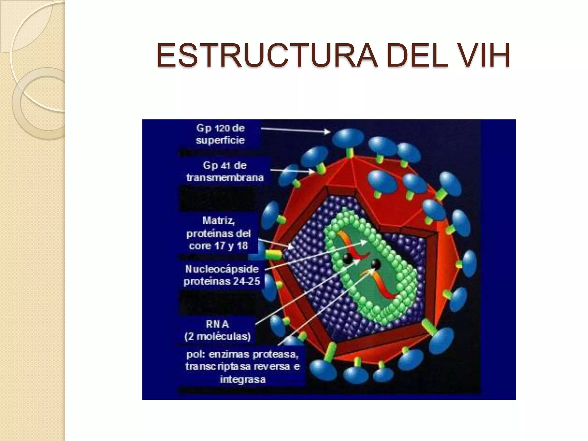 VIH - SIDA | PPTX