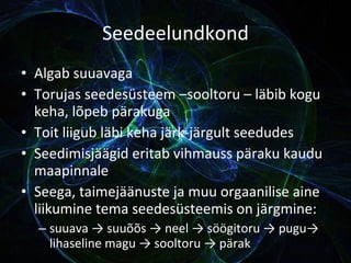 Ussid 8. kl | PPT