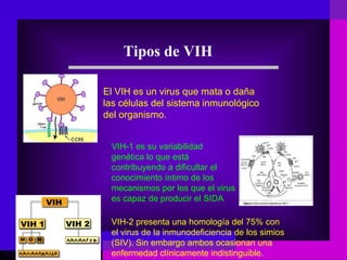 Vih sida | PPTX