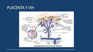 VIH en el embarazo | PPTX