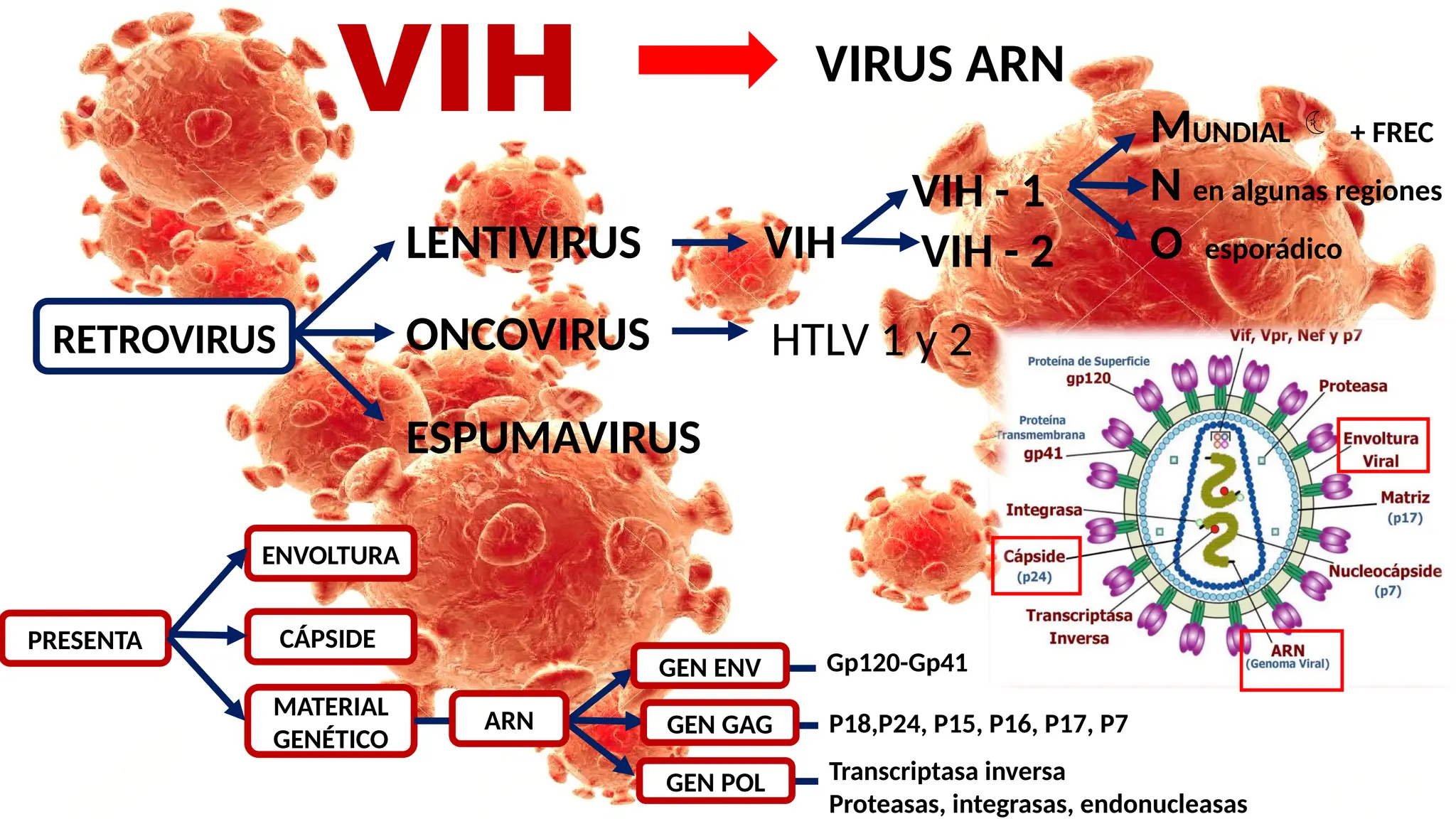 EXPOSICIÓN SOBRE VIH Y MALARIA O PALUDISMO.pptx