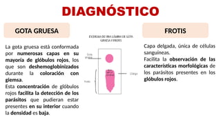 EXPOSICIÓN SOBRE VIH Y MALARIA O PALUDISMO.pptx