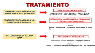 EXPOSICIÓN SOBRE VIH Y MALARIA O PALUDISMO.pptx