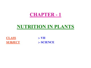 VII-nutrition in plants | PPT