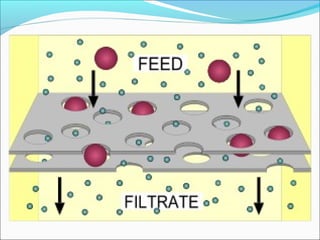 Filtration and clarification | PPT