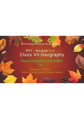 VII_GEO_L06_M01_NATURAL_VEGETATION_AND_WILDLIFE_PPT.pdf