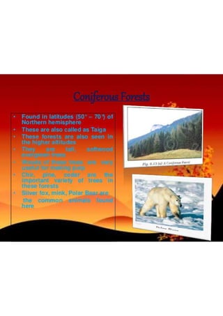 VII_GEO_L06_M01_NATURAL_VEGETATION_AND_WILDLIFE_PPT.pdf