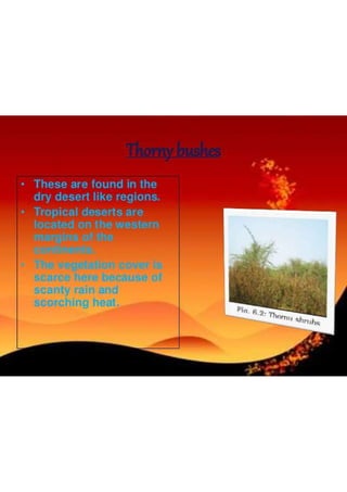 VII_GEO_L06_M01_NATURAI_VEGETATION_AND_WILDLIFE_PPT.pdf