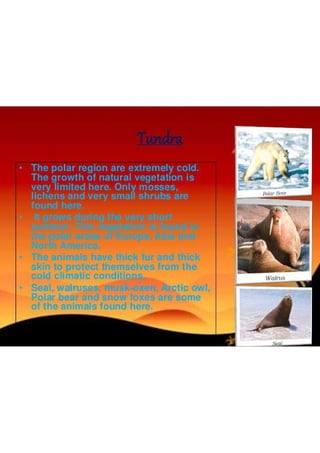 VII_GEO_L06_M01_NATURAI_VEGETATION_AND_WILDLIFE_PPT.pdf