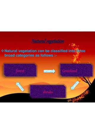 VII_GEO_L06_M01_NATURAI_VEGETATION_AND_WILDLIFE_PPT.pdf