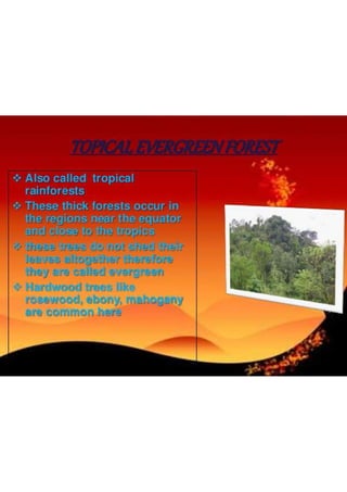 VII_GEO_L06_M01_NATURAI_VEGETATION_AND_WILDLIFE_PPT.pdf