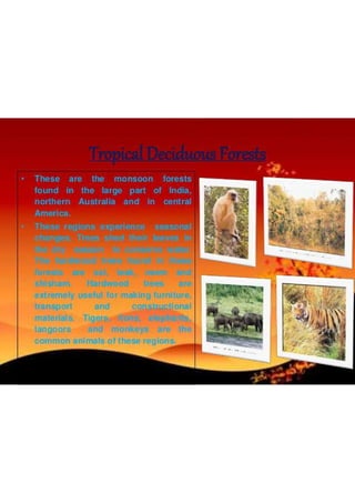 VII_GEO_L06_M01_NATURAI_VEGETATION_AND_WILDLIFE_PPT.pdf