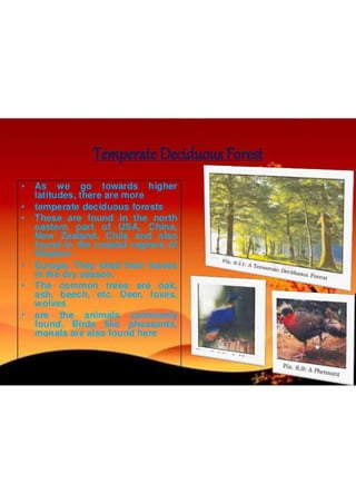 VII_GEO_L06_M01_NATURAI_VEGETATION_AND_WILDLIFE_PPT.pdf