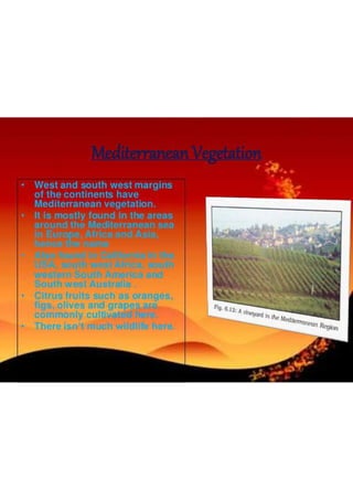 VII_GEO_L06_M01_NATURAI_VEGETATION_AND_WILDLIFE_PPT.pdf