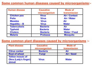viii-2-microorganisms_friend-and-foe.ppt