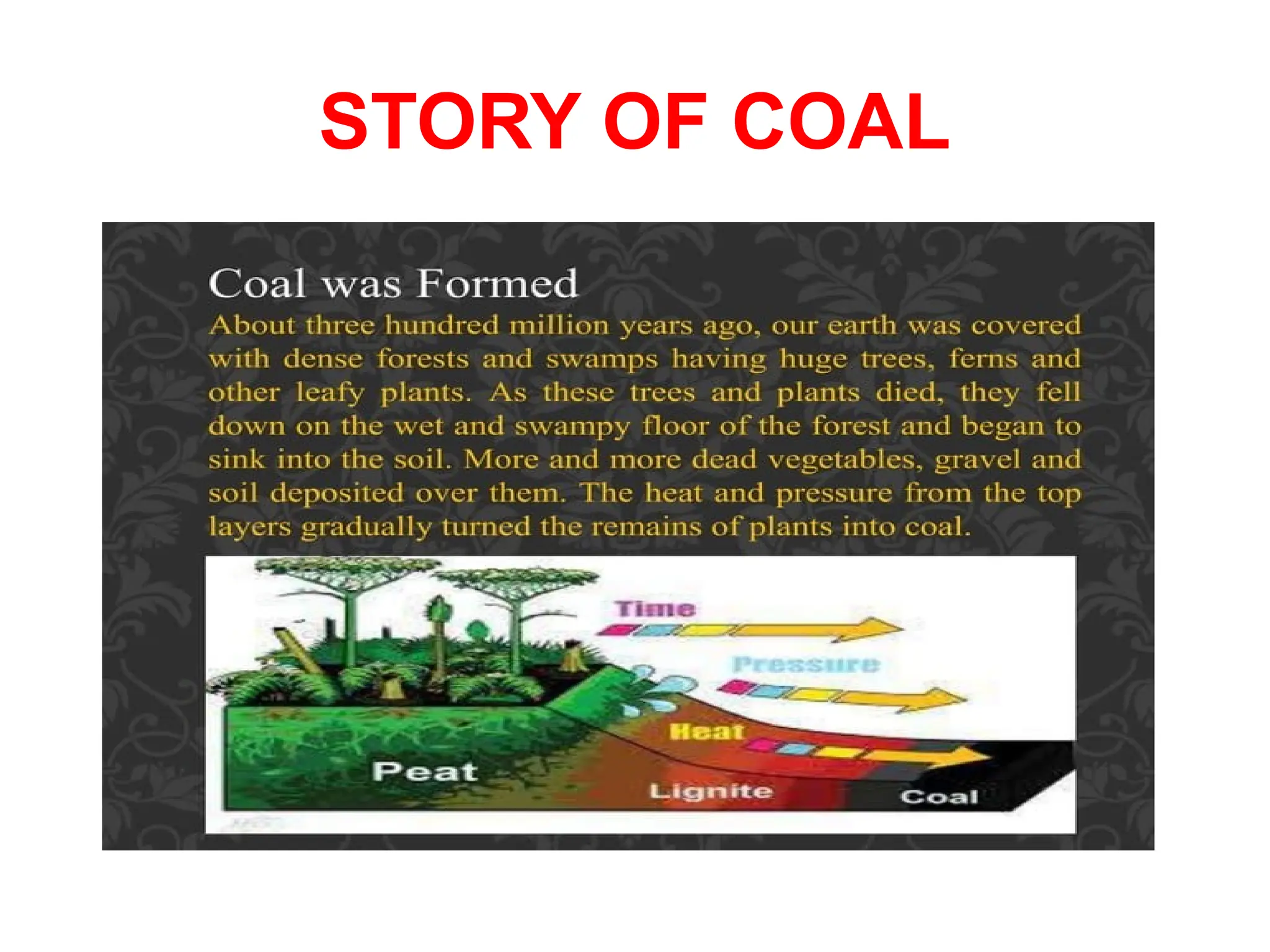 viii-5-coal-and-petroleum class 7 how does coal and petroleum formes ...