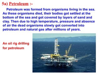 viii-5-coal-and-petroleum class 7 how does coal and petroleum formes | PPTX
