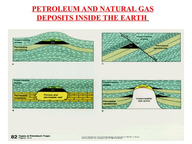viii-5-coal-and-petroleumdqdwqqqwwqeqds.ppt