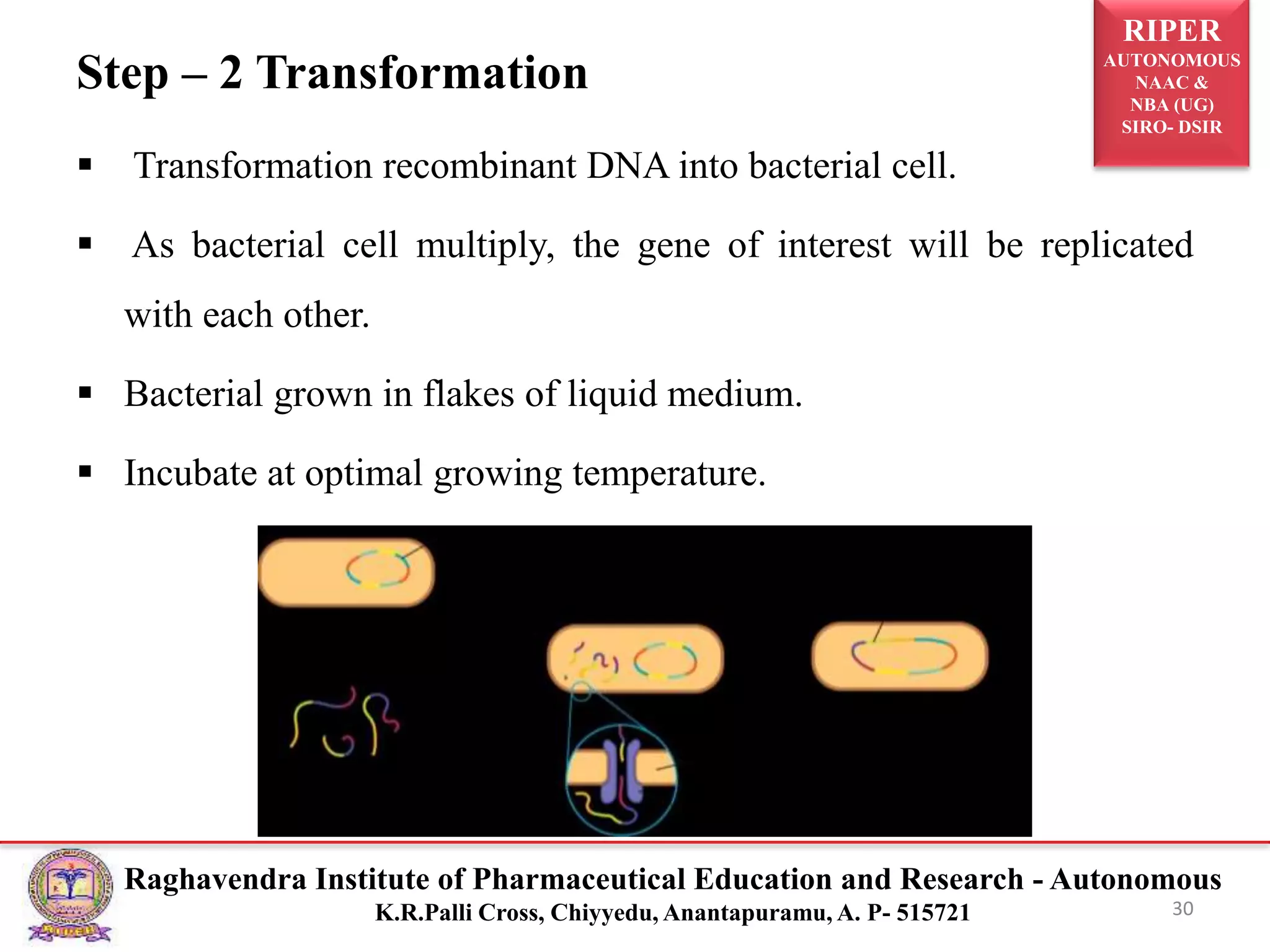 GENE MAPPING & CLONING | PPTX