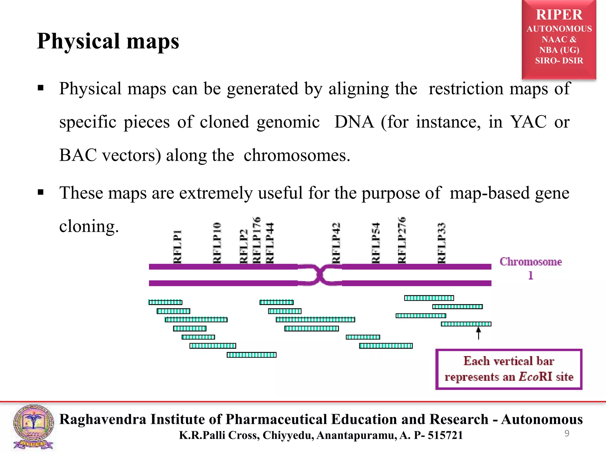 GENE MAPPING & CLONING | PPTX
