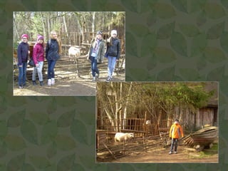 Viikingite küla 2014 | PPT