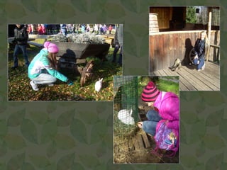 Viikingite küla 2014 | PPT