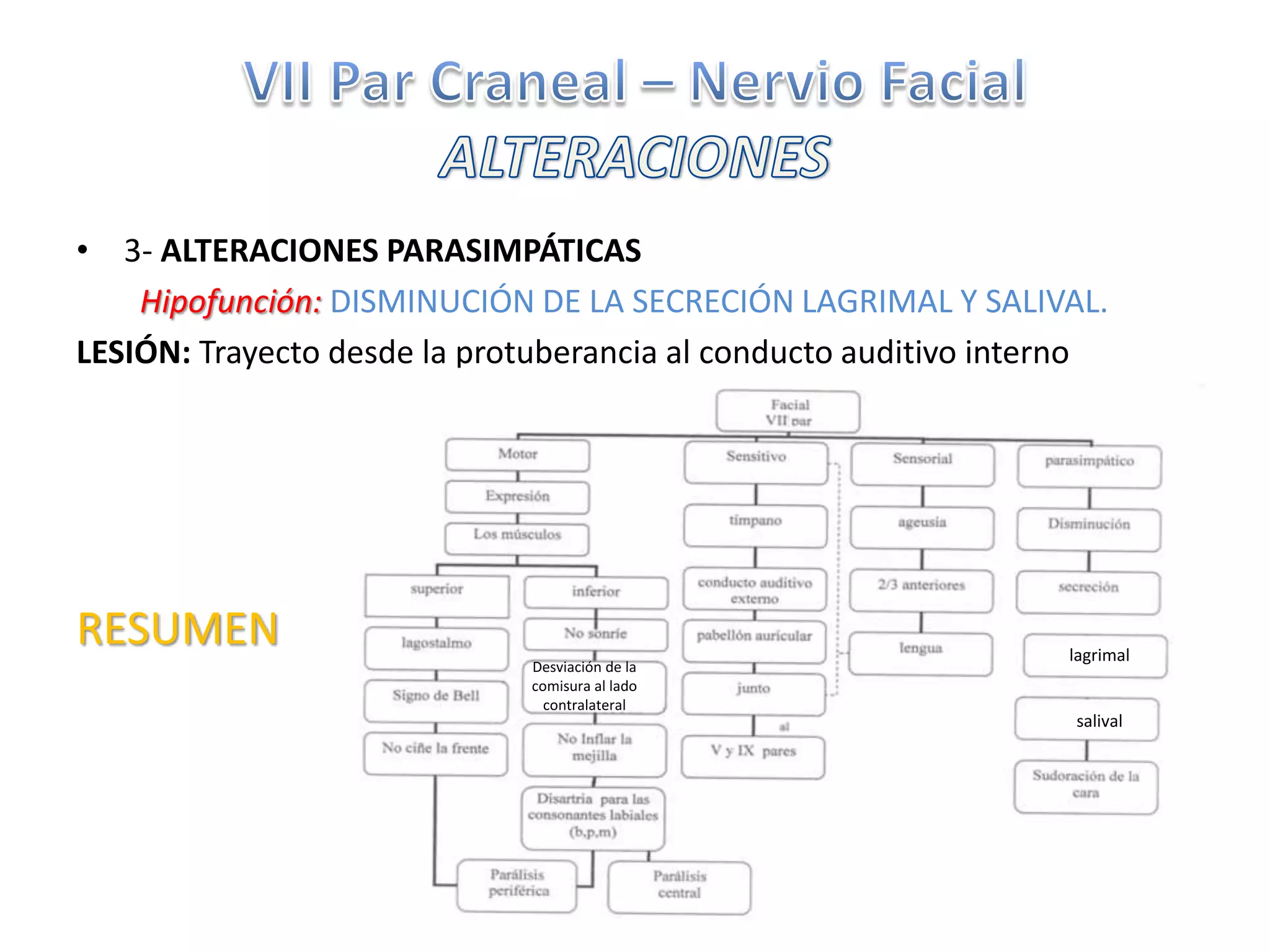 VII par craneal o nervio facial | PPTX | Ear, Nose and Throat ...