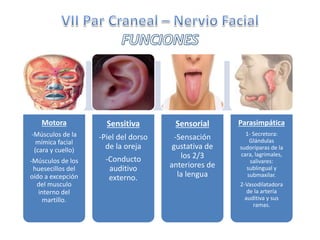 VII par craneal o nervio facial | PPTX