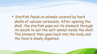 Nutrition in Animals, Part 1, By Vivek Singh | PPTX