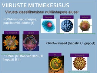 Viirused | PPT