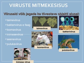 Viirused | PPT