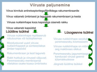 Viirused | PPT