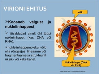 Viirused | PPT