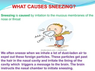 Class 7 science_ Respiration in organisms.pdf