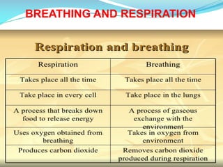 Class 7 science_ Respiration in organisms.pdf