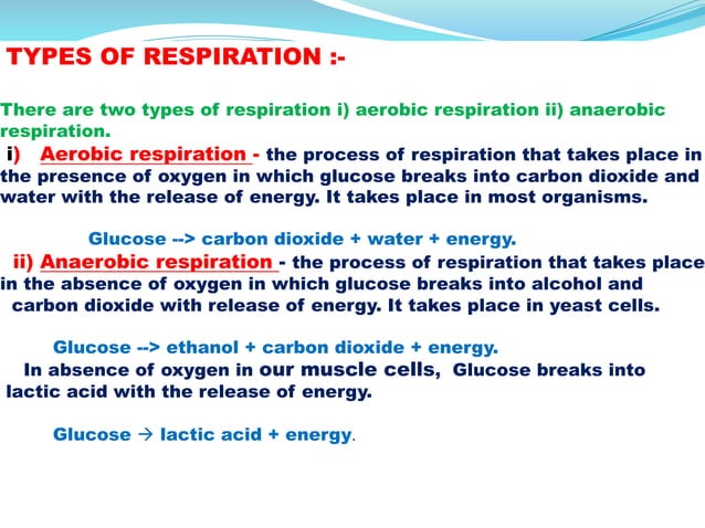 Class 7 science_ Respiration in organisms.pdf