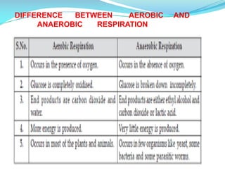 Class 7 science_ Respiration in organisms.pdf