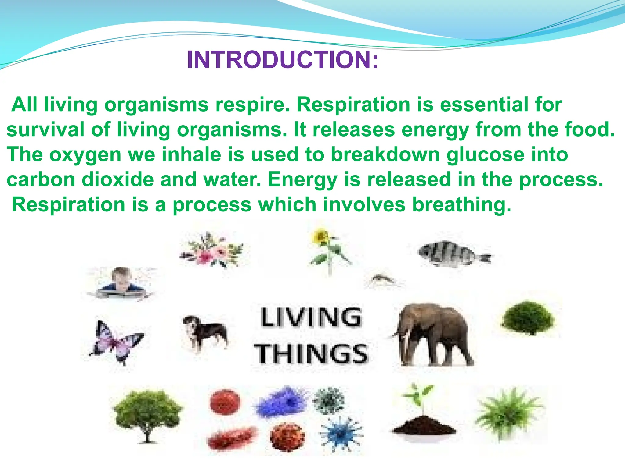 VII_SCI_L10_M01_RESPIRATION_IN_ORGANISMS_PPT.pptx