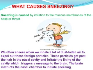 VII_SCI_L10_M01_RESPIRATION_IN_ORGANISMS_PPT.pptx