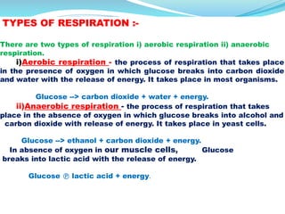 VII_SCI_L10_M01_RESPIRATION_IN_ORGANISMS_PPT.pptx