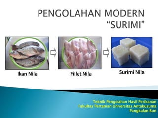 Pengetahuan bahan pengolahanvii surimi.pdf