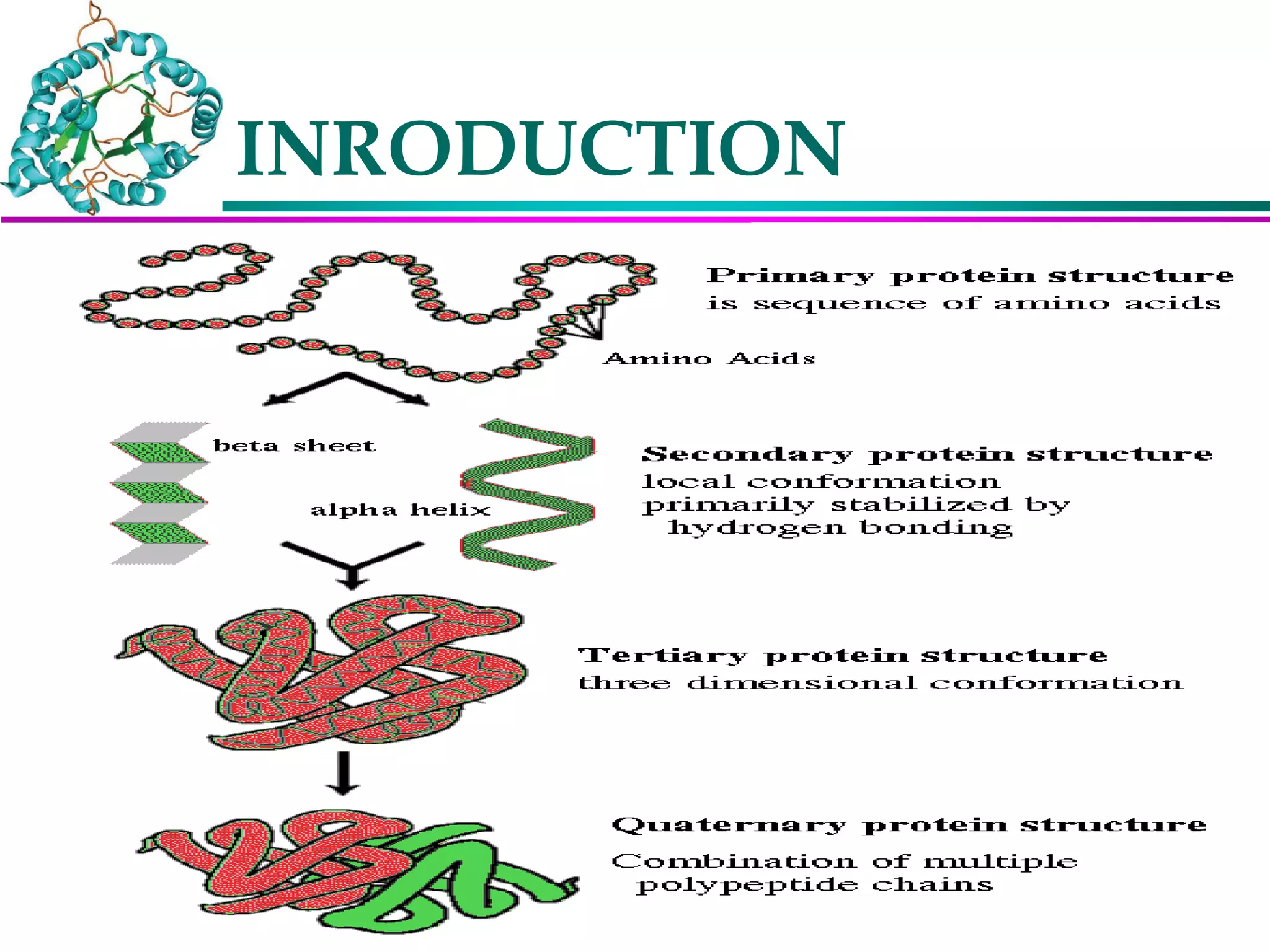 Secondary Structure Prediction Of Proteins Pdf