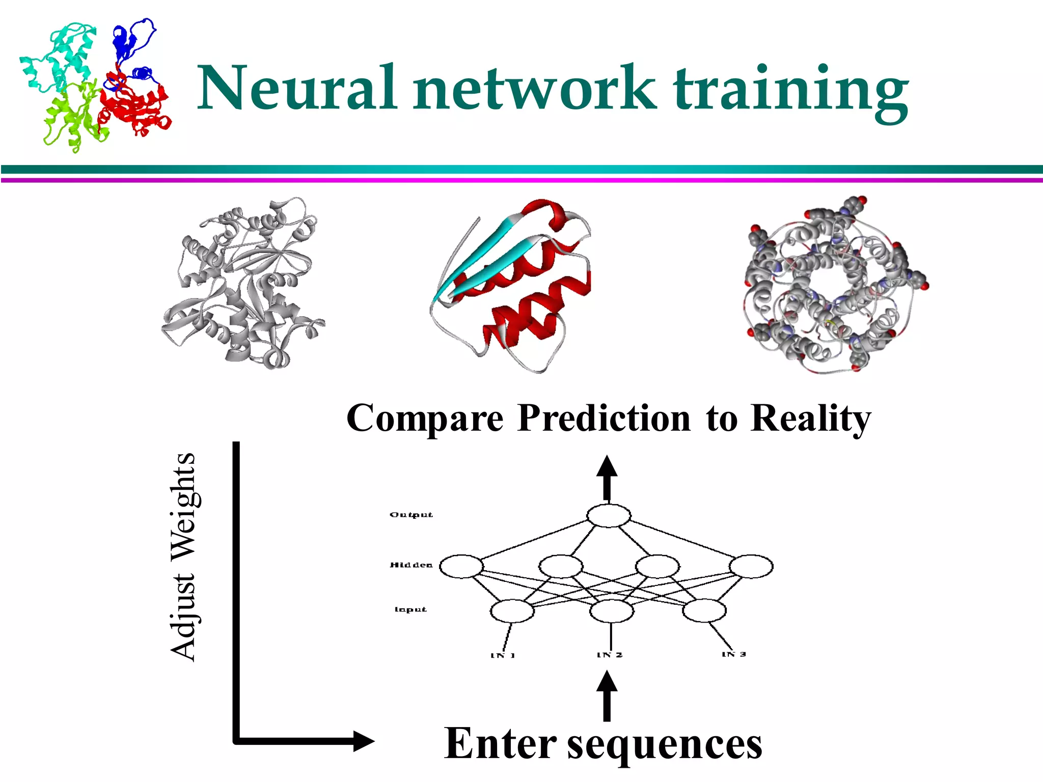 Secondary Structure Prediction of proteins | PDF